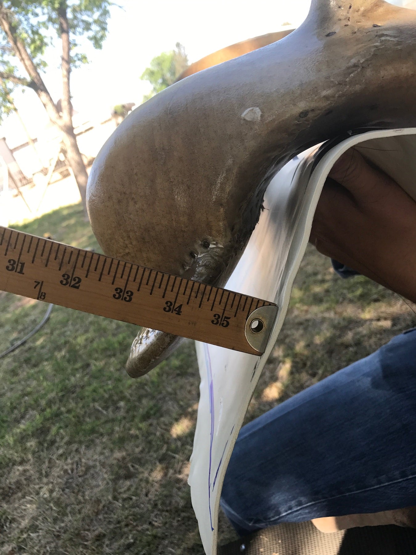 Truth Fit Kit - #TruthFitKit Custom DIY Saddle Fitting Kit – Truth Brands