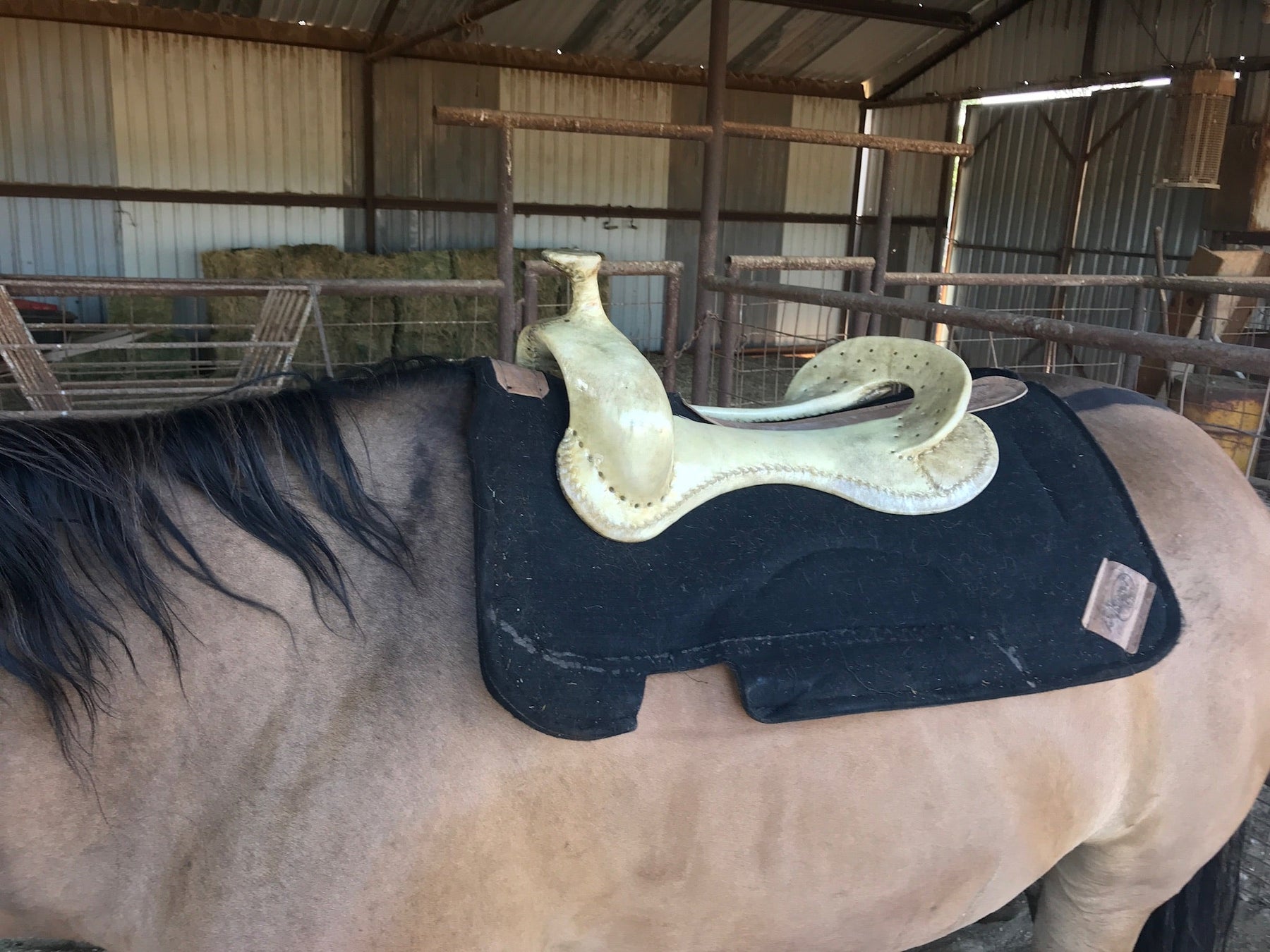 Truth Fit Kit - #TruthFitKit Custom DIY Saddle Fitting Kit – Truth Brands
