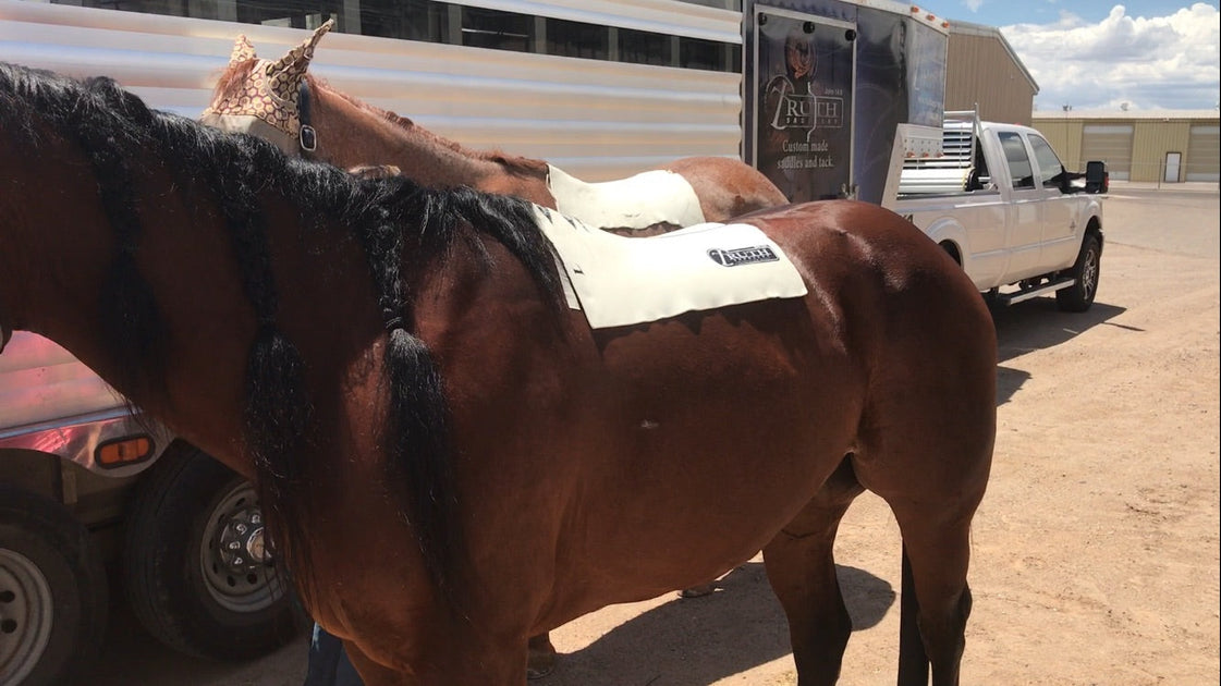 Truth Fit Kit - #TruthFitKit Custom DIY Saddle Fitting Kit – Truth Brands
